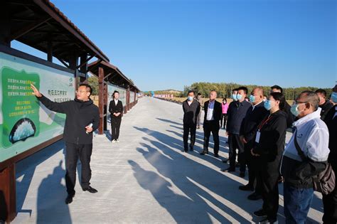 稻走出双收新稻路