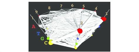 Wrapping Categorical Parallel Coordinate Axes Around A Cylinder Download Scientific Diagram