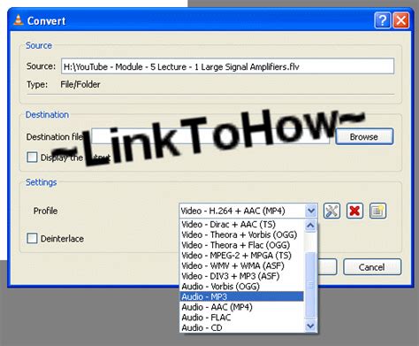 Swf Avi Gif Converter 1000 Dollar Bill Momsstrongdownload