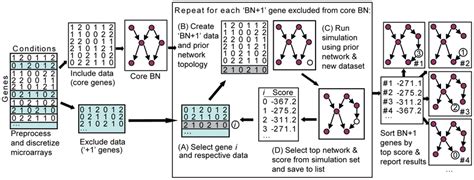 Schema For The Bn1 Expansion Algorithm Bayesian Networks Are