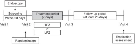 Schematic Diagram Showing The Study Design TPZ Tegoprazan Based Download Scientific Diagram