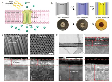Fabrication Process And Characterizations Of Tio 2 C 3 N 4