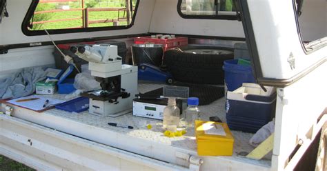 Is Crush Side Sperm Testing Enough Queensland Sperm Morphology Laboratory