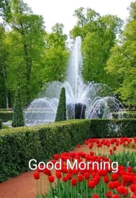 30 Good Morning Scenery Images Good Morning Wishes