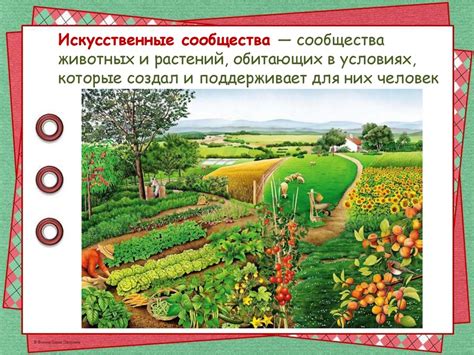 Искусственные природные сообщества презентация онлайн