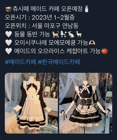 한국에 메이드카페가 생긴다는디 인스티즈 Instiz 일상 카테고리