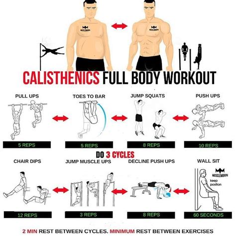 Full Body Isometric Workout Routine Questbilla