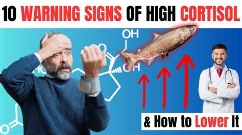 10 Warning Signs Of High Cortisol Levels And How To Lower Them Youtube