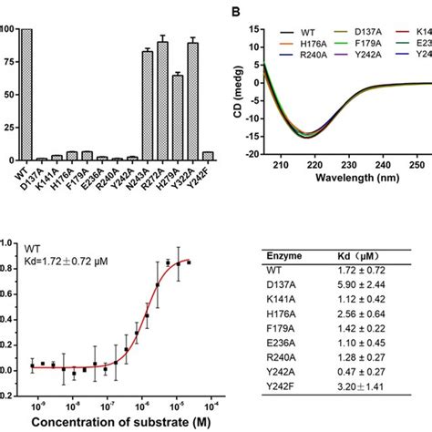 Characterization Of Fdla Ntd Mutants A Enzymatic Activities Of The