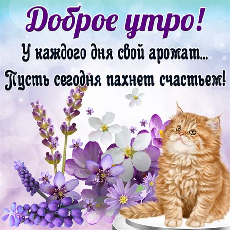 Самые лучшие поздравительные открытки и картинки с Добрым утром