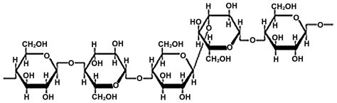 Beta Glucan Molecule Brain Mind Article