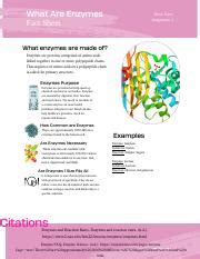 Understanding Enzymes Functions Importance And Examples Course Hero