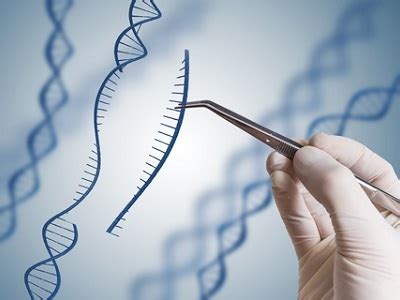 DNA Targeting Malware Can Trick Scientists Into Making Toxins Researchers Say