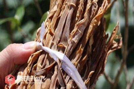 建瓯笋干 特产百科 挑挑礼