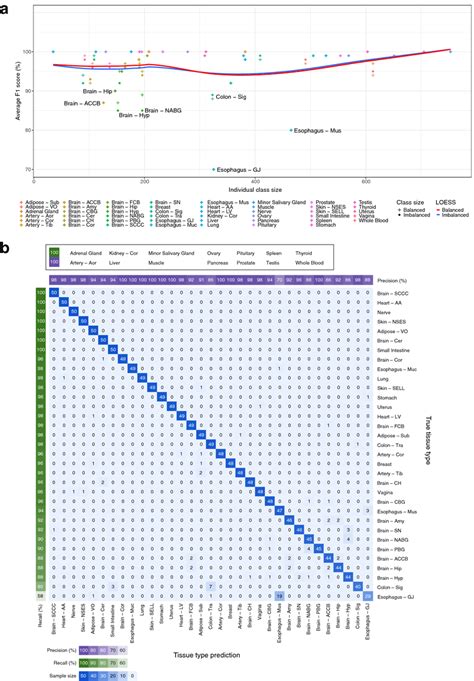 convolutional neural network cnn performance using imbalanced and download scientific diagram