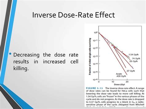 Fractionated Radiation And Dose Rate Effect Pptx