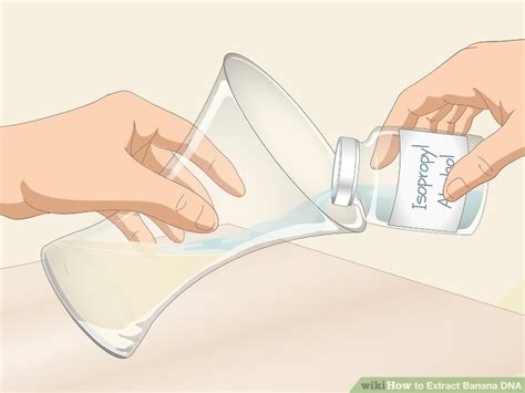 Easy Ways To Extract Banana DNA Steps With Pictures