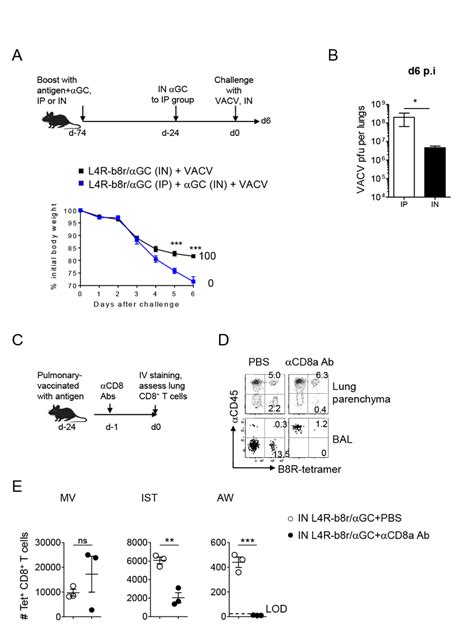 Figure S2 Related To Figure 2 Download Scientific Diagram