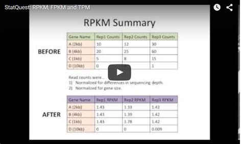 RPKM FPKM And TPM Clearly Explained Order Of Operations Explained Reading