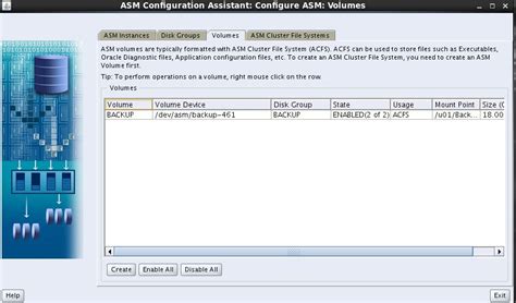 Oracle Database Commands And Practical Examples Acfs