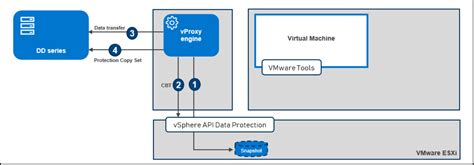virtual machine consistent backup protection workflow powerprotect