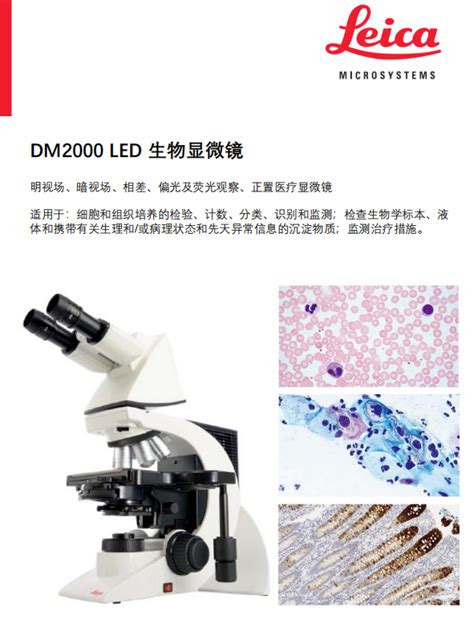 免费下载《徕卡dm2000 Led正置生物显微镜产品样本（2022版）》 徕卡显微系统