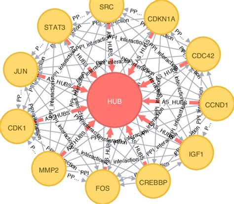 New Nodes And Edges Added To The Graph Database The Genes That Were