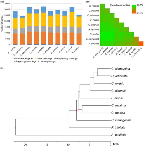 Comparative Genomics Of The 10 Citrus And Citrus Related Species