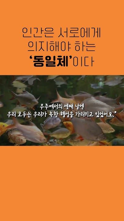 인간은 서로에게 의지해야 하는 동일체이다 ㅣ오디오북ㅣ자기위로ㅣ치유ㅣ자기계발ㅣ삶ㅣ인생ㅣ지혜ㅣ명언ㅣ어록ㅣ철학ㅣ심리 Youtube