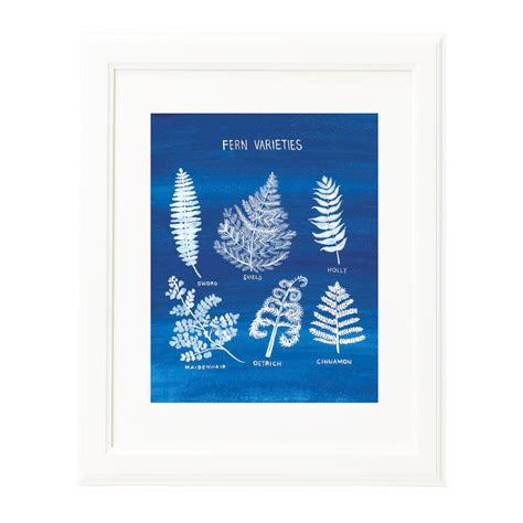 Edición Limitada Plants Art Print Poster Ferns Print Botanical