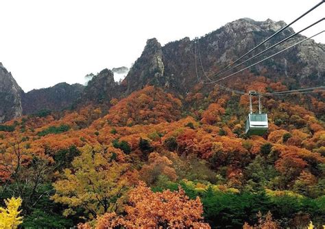 Guide To Seoraksan National Park And Nearby Attractions