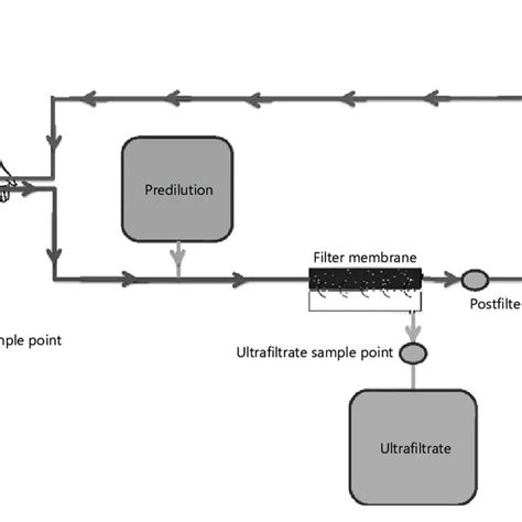 Schematic Drawing Of The Cvvh Circuit With The Different Sample Points