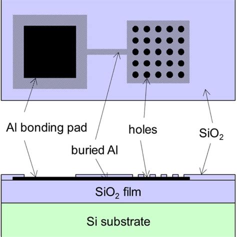 Structure Of On Wafer Sheath Shape Sensor Download Scientific Diagram