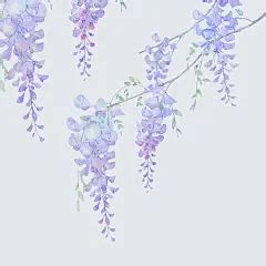花卉图片大全 花卉高清好看的图片 花瓣用户7NJ8t0kT的画板