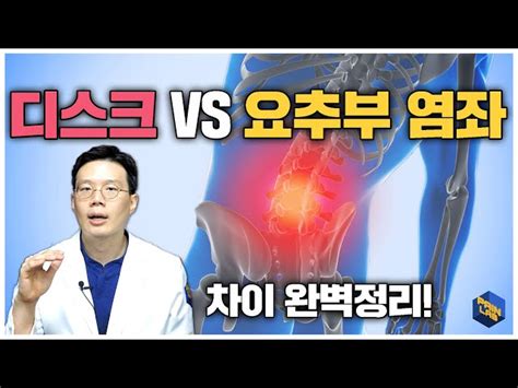 디스크 VS 요추부염좌 차이 완벽정리 페인랩이 말하는 통증이야기