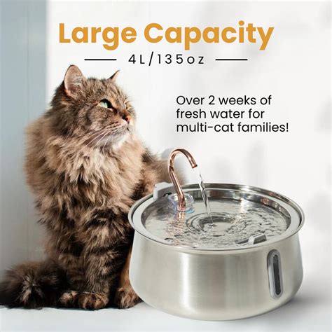 The Kittyspout™ 20 Health And Happiness Cat Kit