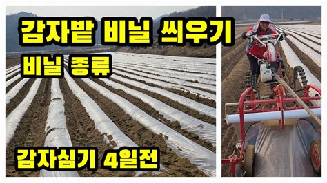 감자밭 비닐피복 관리기로 비닐 종류 그리고 선택 감물감자 괴산감자 수미감자 감자재배방법 Youtube