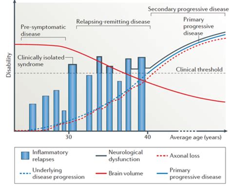 Multiple Sclerosis Medications And Their Pharmacology Flashcards Quizlet
