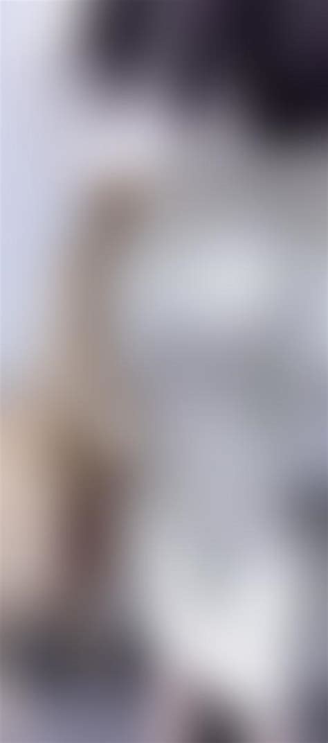 香香公主和爱犬怎么找视频 抖音