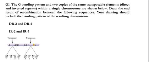 Solved Q1 ﻿the G Banding Pattern And Two Copies Of The Same