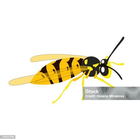 흰색 배경에 격리 된 다채로운 말벌 벡터 아이콘입니다 플랫 스타일 곤충의 벡터 그림입니다 개미에 대한 스톡 벡터 아트 및 기타 이미지 Istock