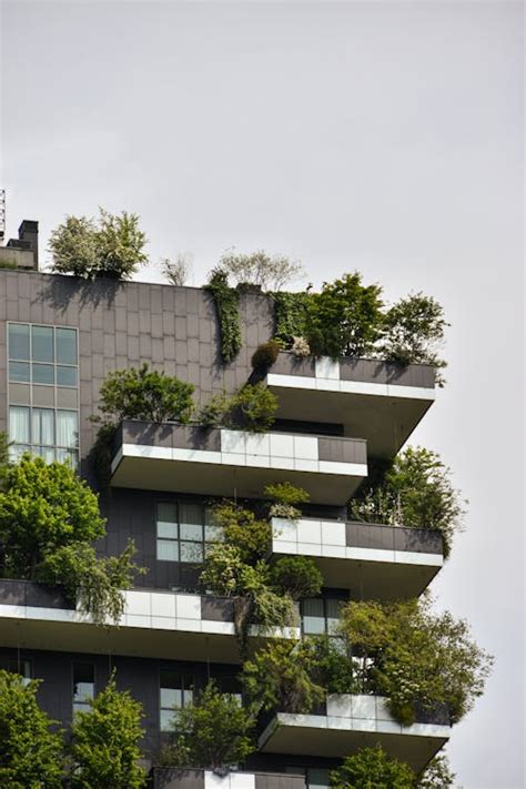 집 밖의 건물 건축 건축 설계 고층 건물 구조 녹색 건물 녹색 건축 녹색 도시주의 녹지 도시 건축 도시 단풍 도시 디자인 도시 생활 도시 식물