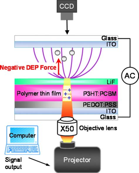 Selective Manipulation Of Microparticles Using Polymer Based Optically Induced Dielectrophoretic