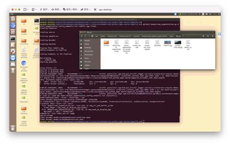 Jetson Xavier Agx Inferences Error Tao Toolkit Nvidia Developer Forums