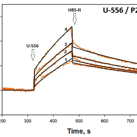 Sensorgrams Of Surface Plasmon Resonance Binding Obtained For