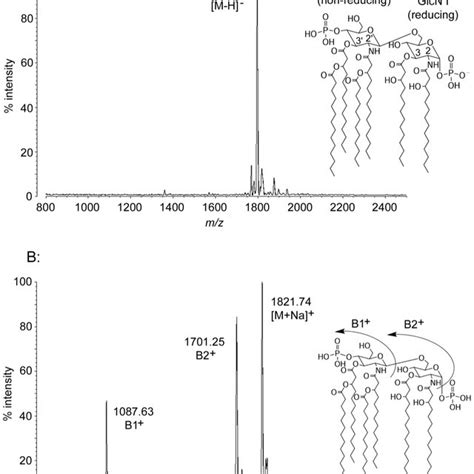 Gc Ms Chromatogram Of Fames Derived From Lipid Extracts Lipid Extracts Download Scientific