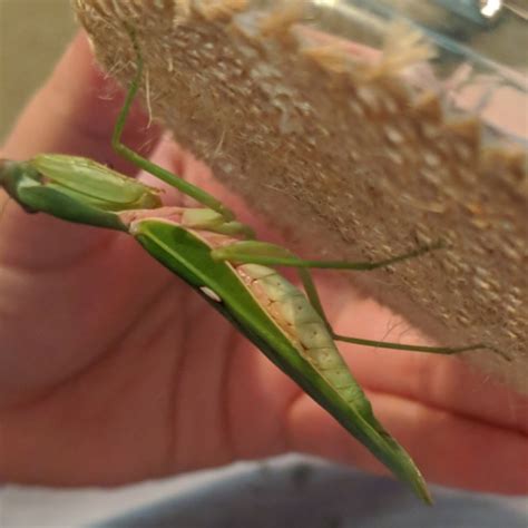 Dirt And Bugs Dirtandbugsshow Tumblr Blog Tumlook