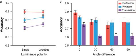The Interaction Between Luminance Polarity Grouping And Symmetry Axes On The Erp Responses To