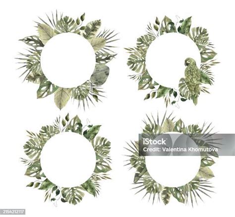 앵무새 몬스테라 칼라테아 콜로카시아 야자수 필로덴드론 흑백 스타일의 수채화 열 대 라운드 프레임 세트입니다 꽃 및 식물 트렌드 2025 초대장 카드 포장 휴일 프레임 0명에