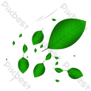 Leaves Blown From Trees By Wind GIF Animation PNG Images GIF Free Download Pikbest